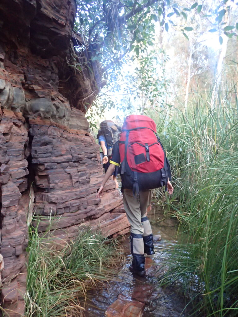 Outdoor Youth Adventure Camp Recap - Nintirri